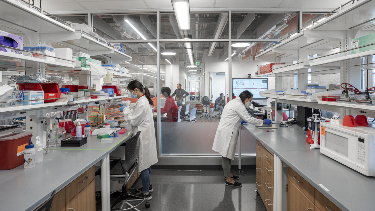 Student Research - USC